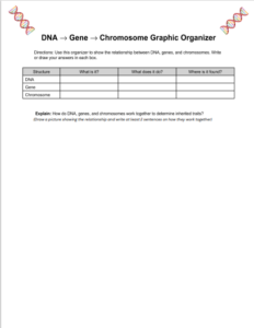 Science Graphic Organizer: Show & Explain How Concepts Work Together ...
