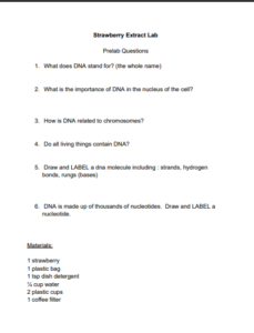 Strawberry DNA Extraction Lab | Hands-On Genetics Activity for Middle ...