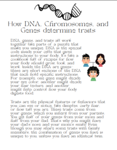 How DNA, Chromosomes, and Genes determine traits. - TeachersTrading.com